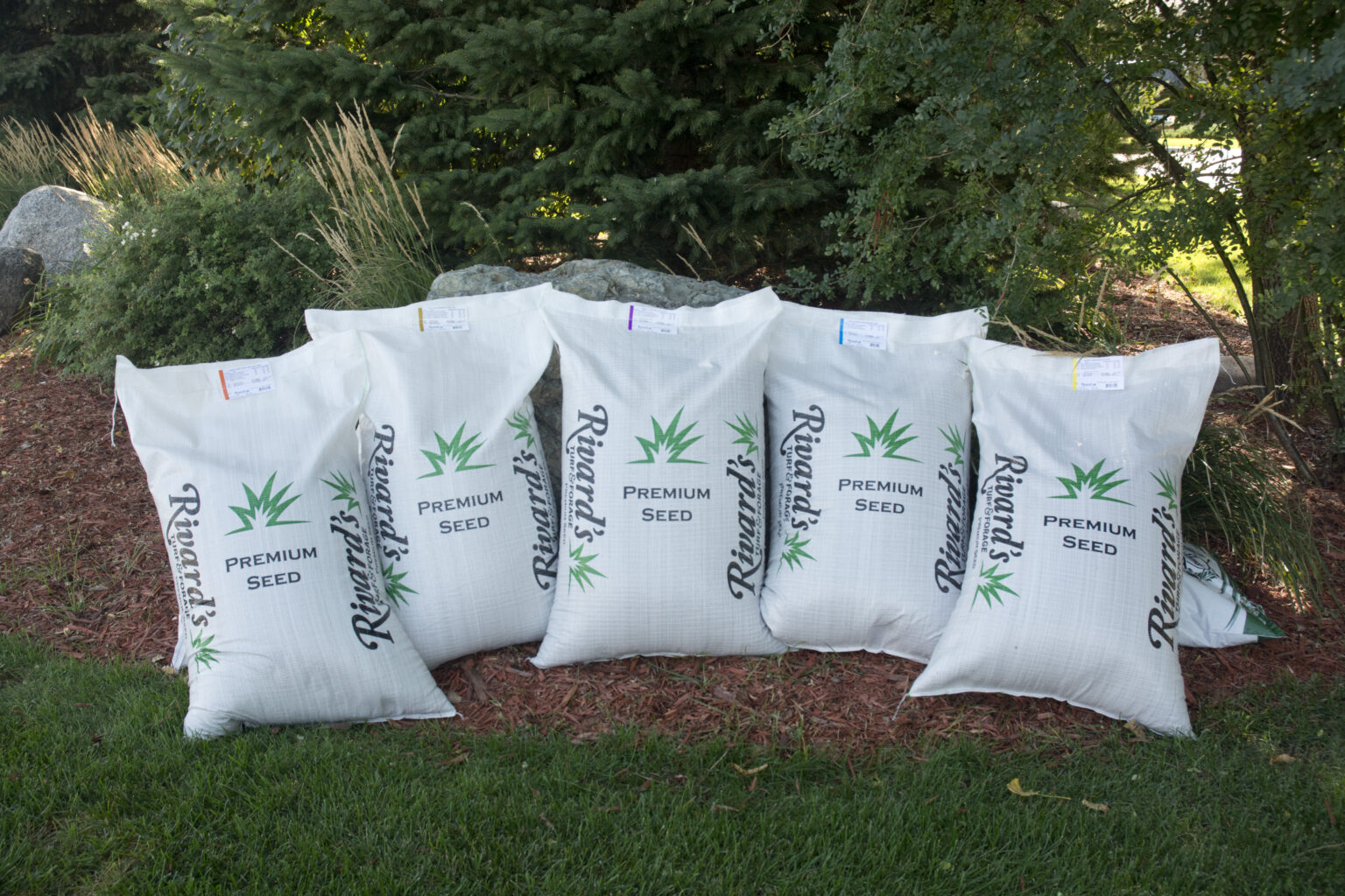 Rivard's Turf & Forage – Specialty Seed Company
